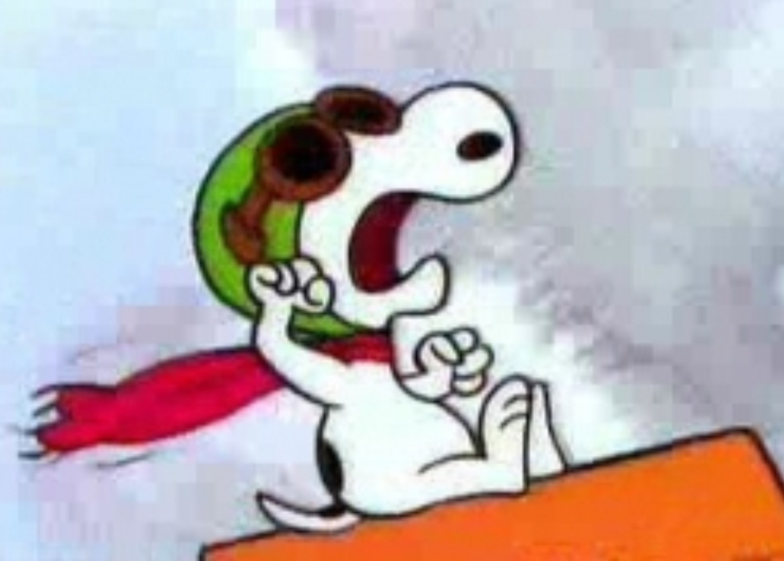 1000+ images about Snoopy and gang on Pinterest | Peanuts snoopy ...